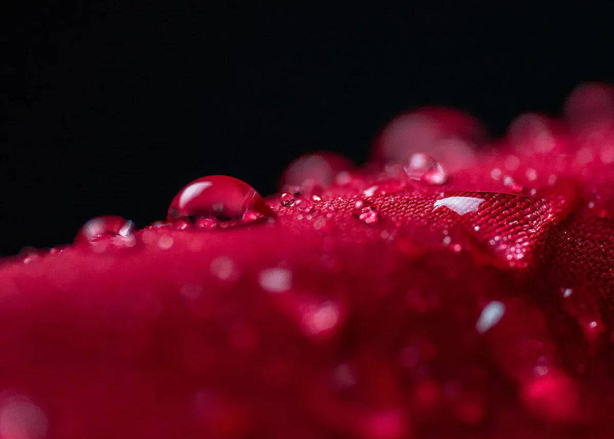 How to Care for Your Technical Sailing Gear - Musto Care Guide